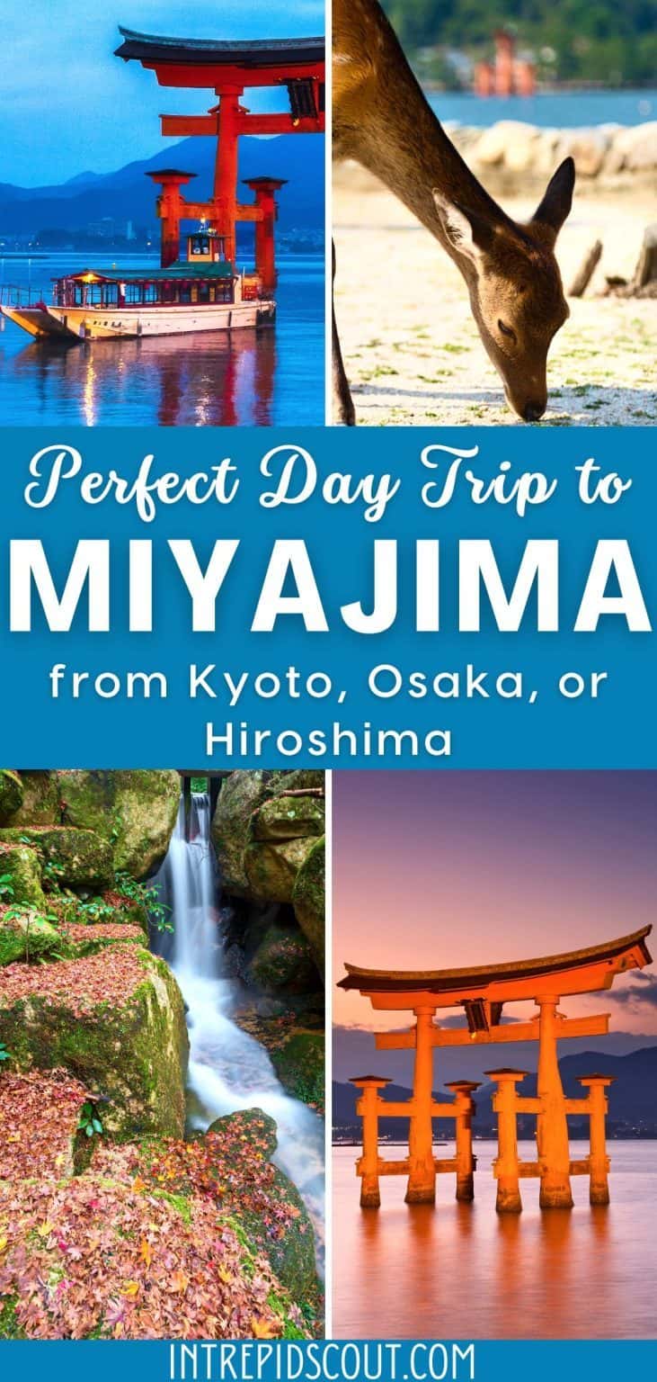 Perfect DAY TRIP to MIYAJIMA from Kyoto, Osaka, or Hiroshima (9 Things ...