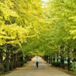 WHAT to Do in SHIBUYA (11 Things to Explore in the Vibrant Heart of ...
