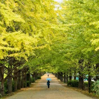 WHAT to Do in SHIBUYA (11 Things to Explore in the Vibrant Heart of ...