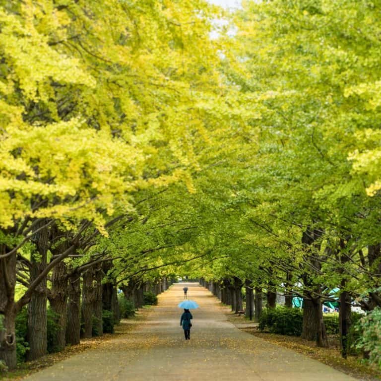 WHAT to Do in SHIBUYA (11 Things to Explore in the Vibrant Heart of ...