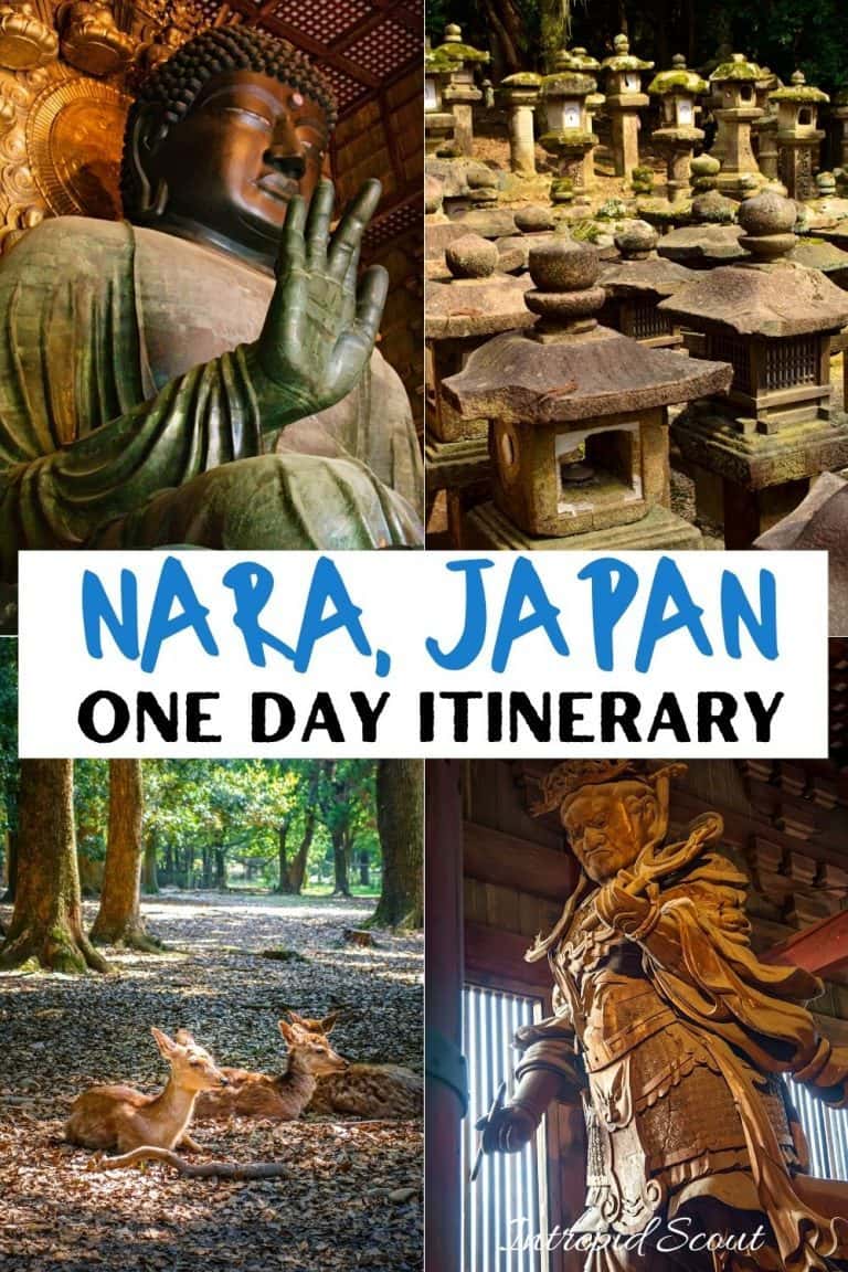 Perfect One Day in NARA, Japan (Itinerary+Maps+Useful Tips) • Intrepid Scout