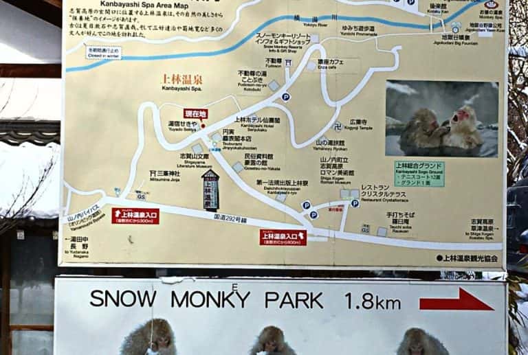 14 Practical Tips How to See SNOW MONKEYS in JAPAN (Best Trip from ...