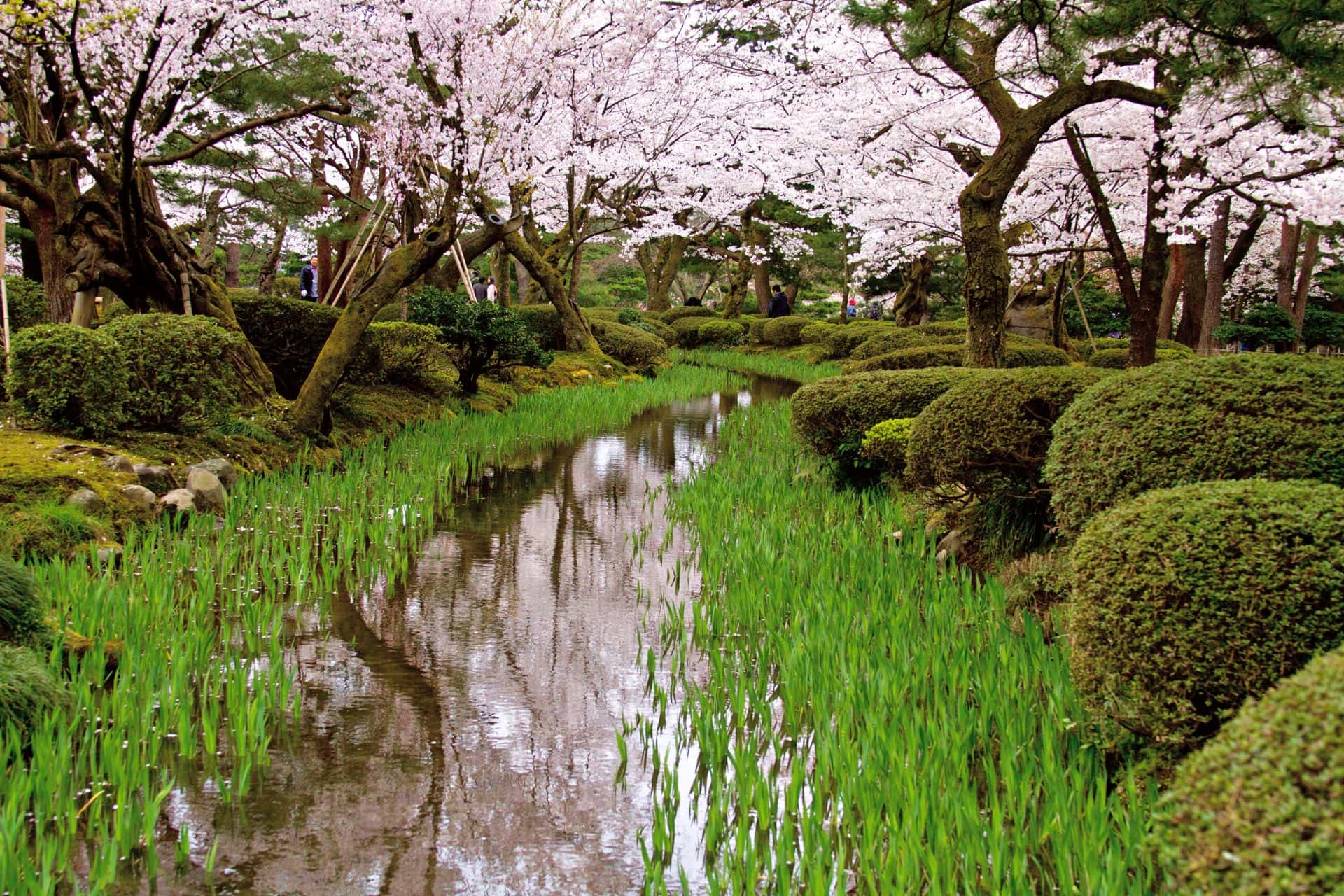 Guide to KENROKUEN GARDEN in KANAZAWA (Japan's Top Ranked Garden ...