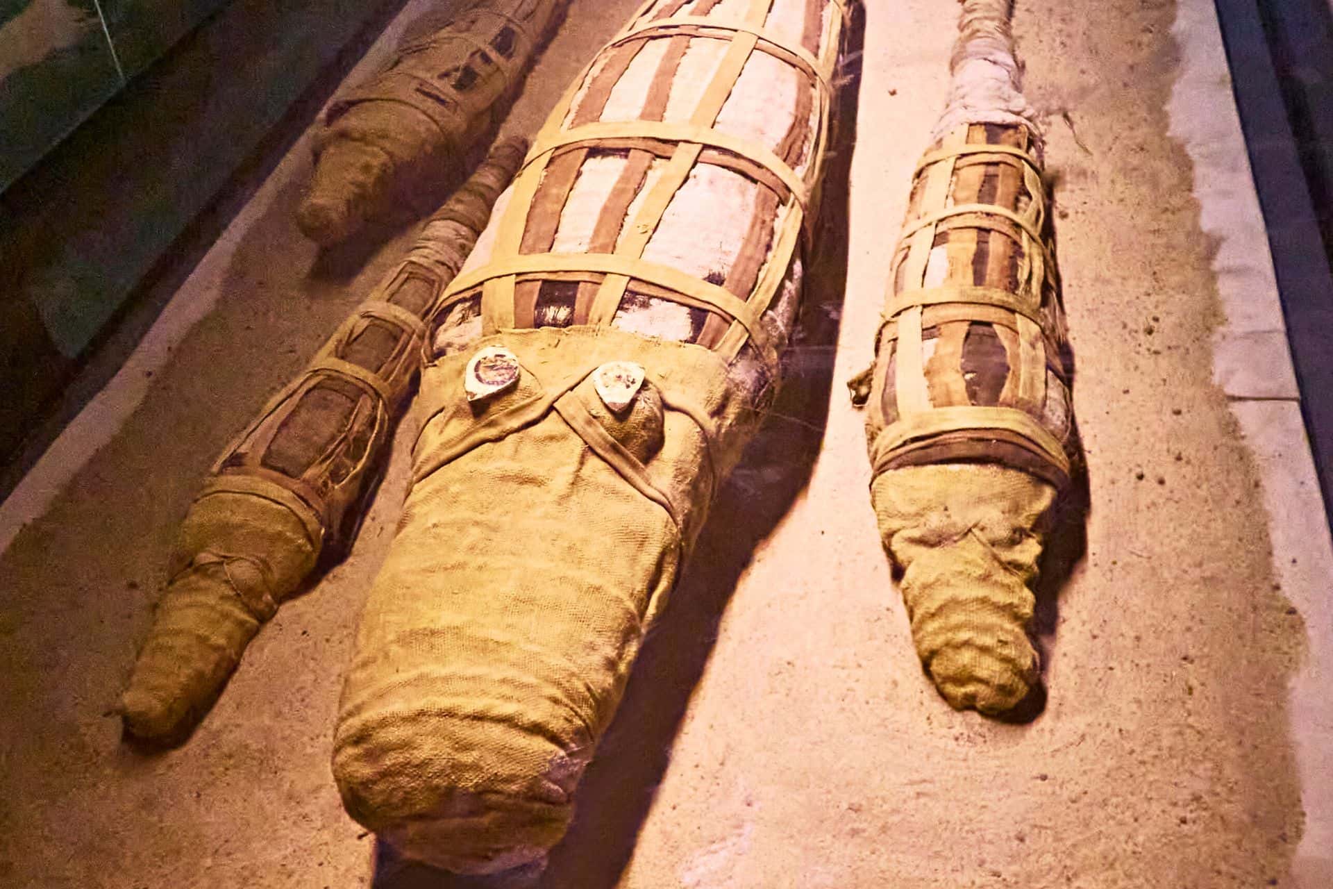 Crocodile Mummy Museum in Kom Ombo (Uncover 5 Astonishing Secrets ...