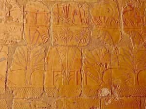 7 Astonishing Things to See at the Temple of Hatshepsut in Luxor ...