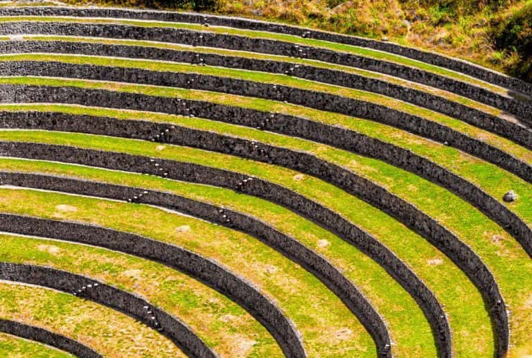 From Cusco to Moray: 4 Fascinating Discoveries at the Enigmatic ...