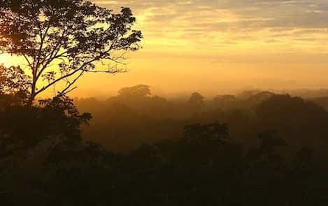 The Peruvian Amazon Rainforest - 3-Day Adventure Itinerary • Intrepid Scout