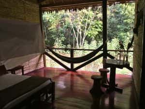 3-Day Adventure in the Amazon, Peru: Discover the Untamed Rainforest ...