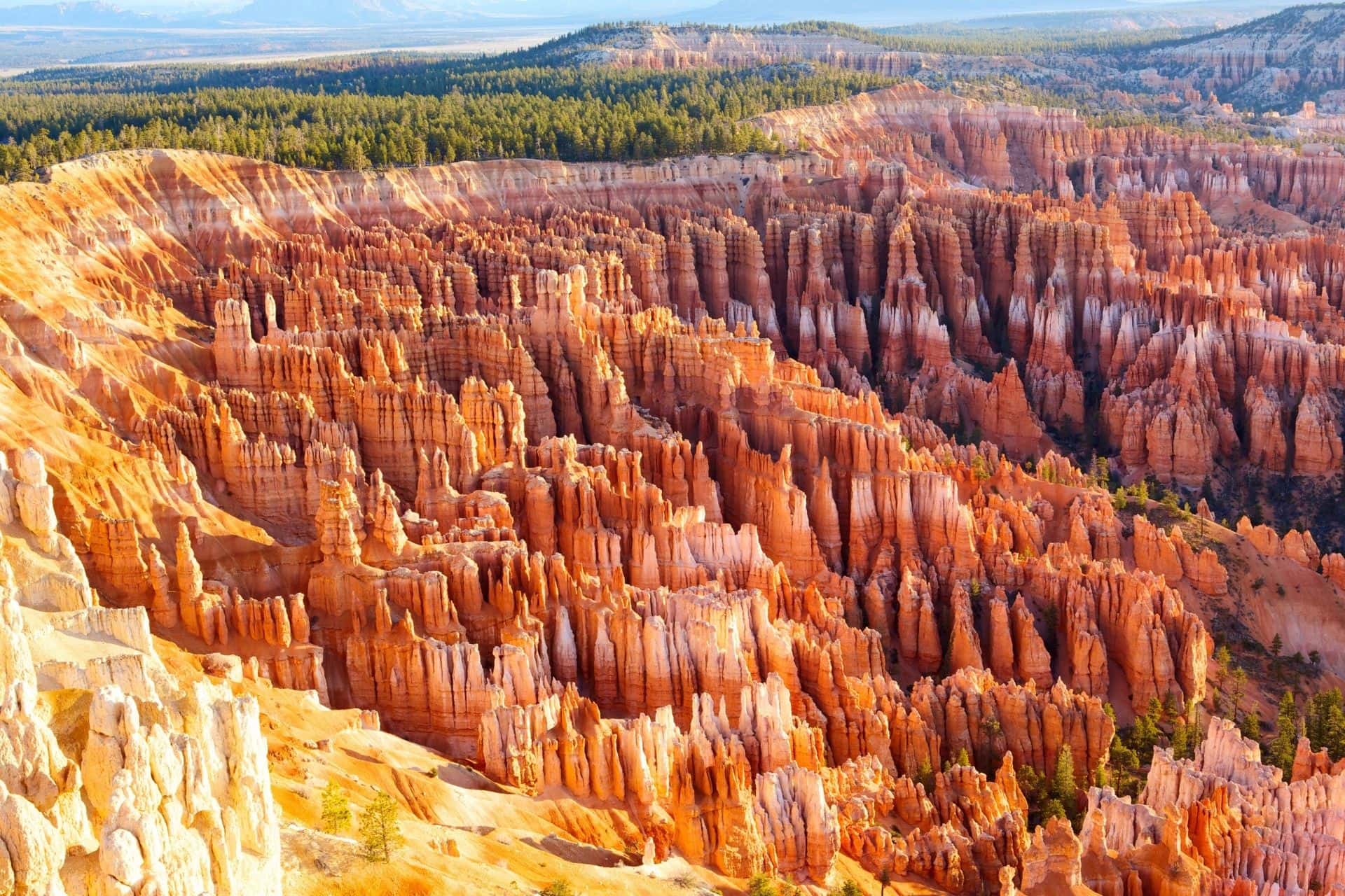10 Best Stops on Scenic Drive in Bryce Canyon (Map+Tips) • Intrepid Scout