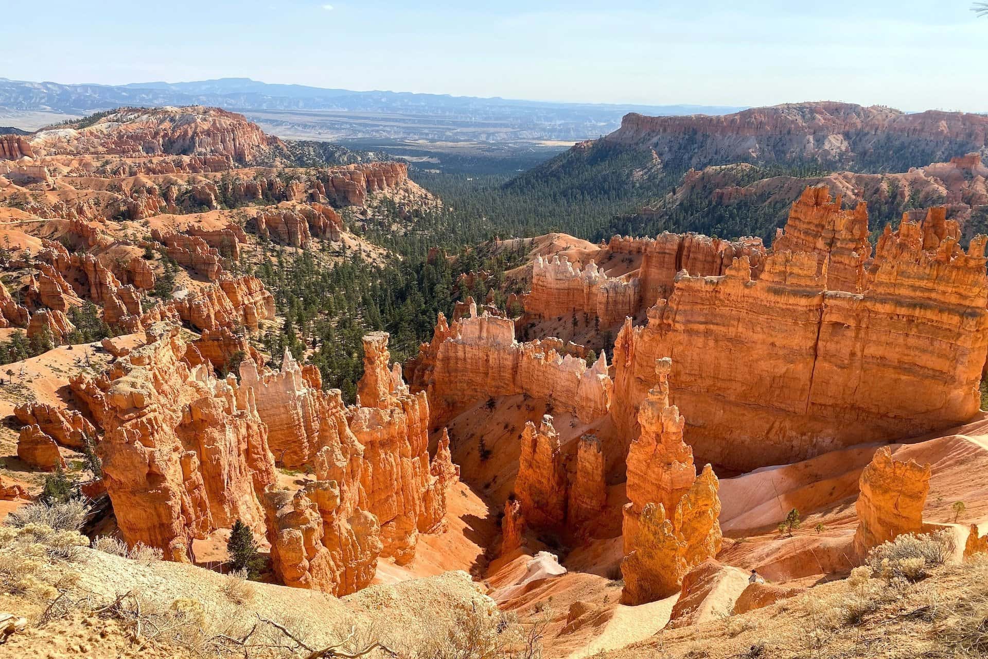14 Practical BRYCE CANYON TIPS for First Visit (Important: Read Before ...