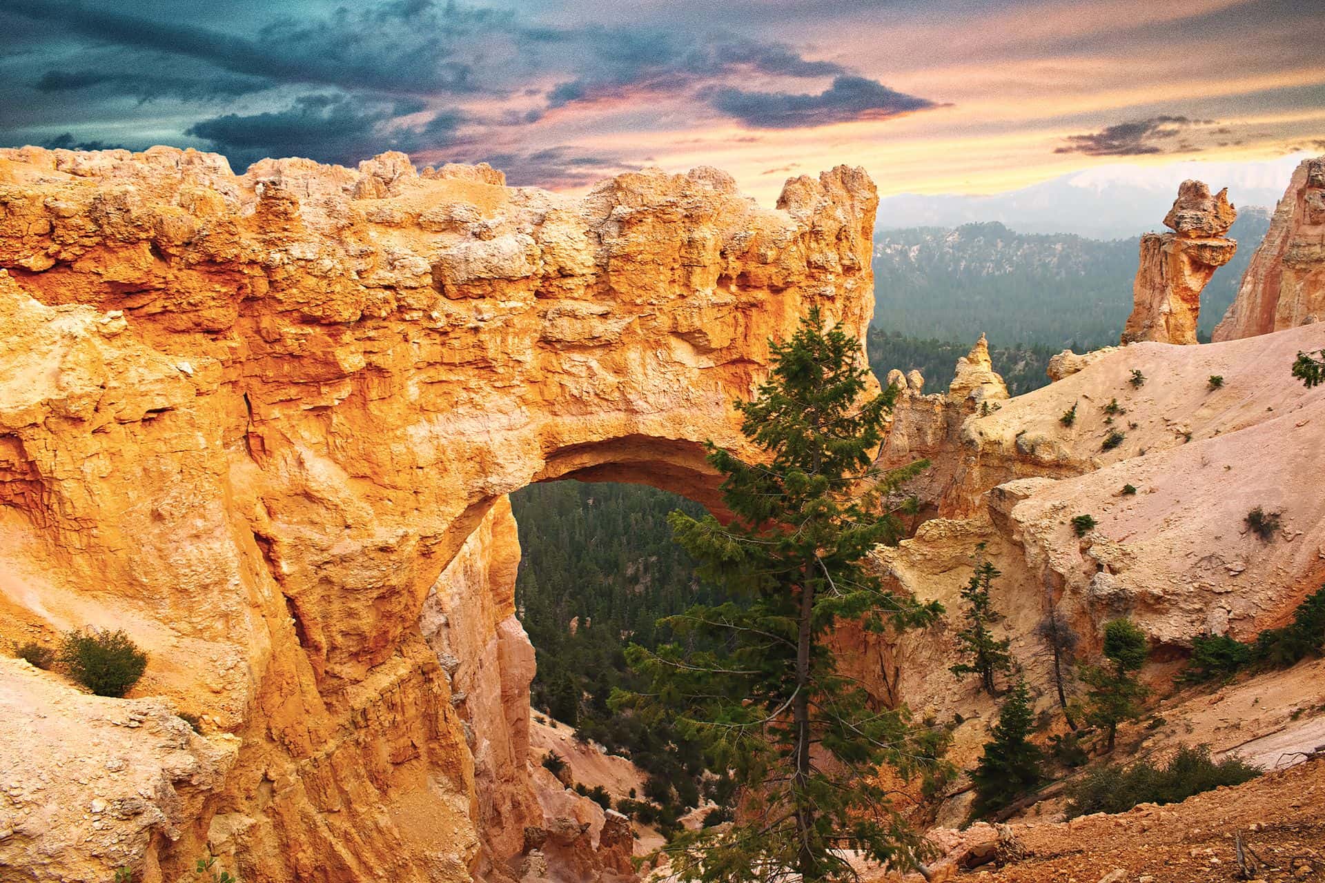Zion and Bryce Canyon: 3-Day Road Trip Through Utah's Iconic Parks ...