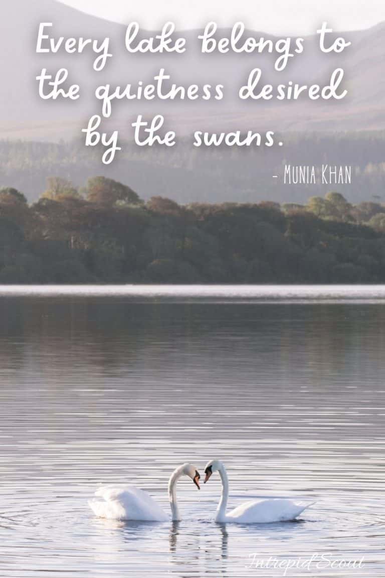 218 Beautiful LAKE CAPTIONS and QUOTES to Accompany Your Lake Photos ...