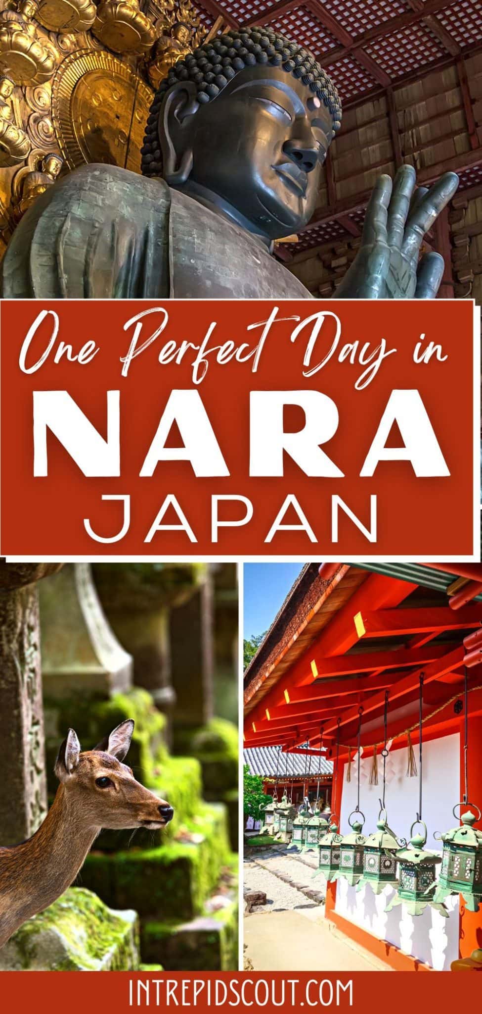 Perfect ONE DAY in NARA - 6 Things You Can't Miss (Maps+Useful Tips ...
