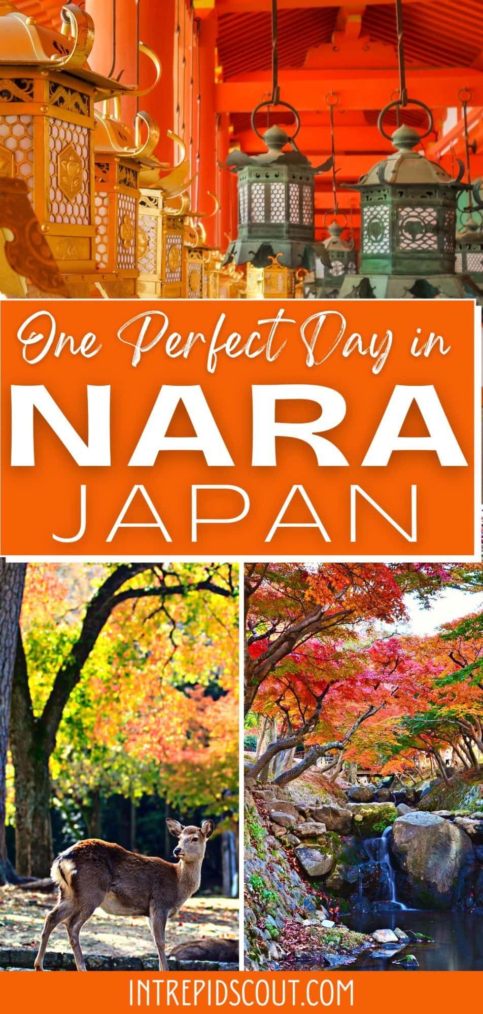 Perfect ONE DAY in NARA - 6 Things You Can't Miss (Maps+Useful Tips ...