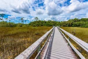 EVERGLADES National Park in ONE DAY (9 Amazing Things You Can't Miss ...