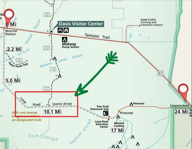 16 Best Things to Do in BIG CYPRESS National Preserve (Maps+Useful Tips ...