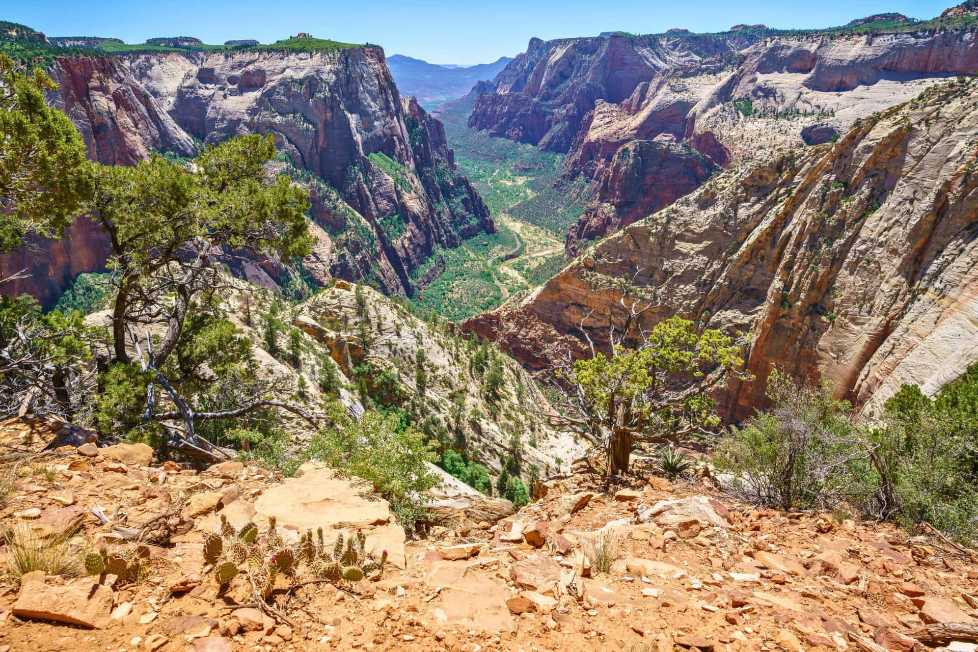 How to Hike to OBSERVATION POINT via EAST MESA TRAIL: Unveiling Zion's ...