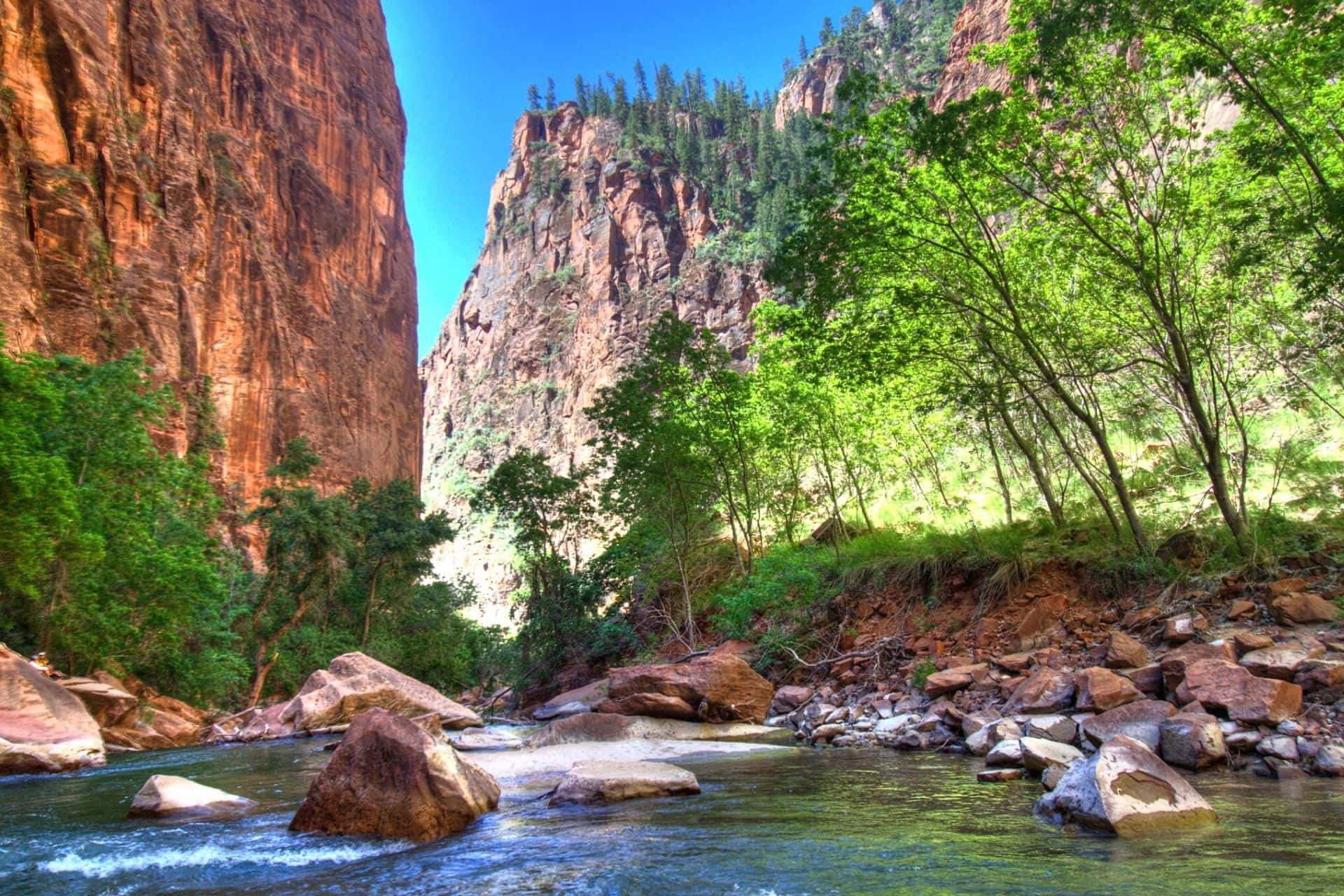 7 Short and Easy Hikes in Zion National Park (Maps+Tips) • Intrepid Scout
