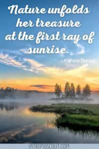 181 Golden Hour Captions and Quotes Celebrating the Magical Time ...