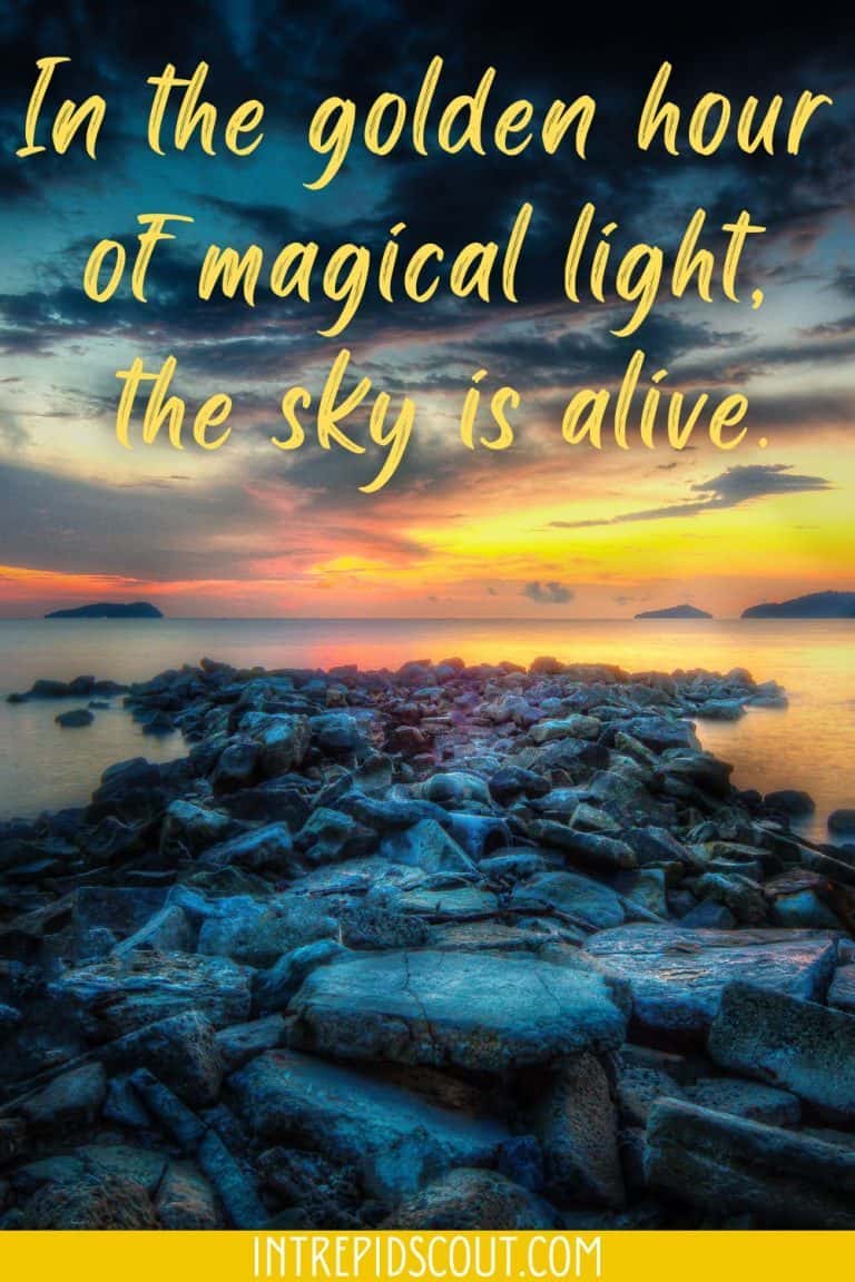 181 Golden Hour Captions and Quotes Celebrating the Magical Time ...