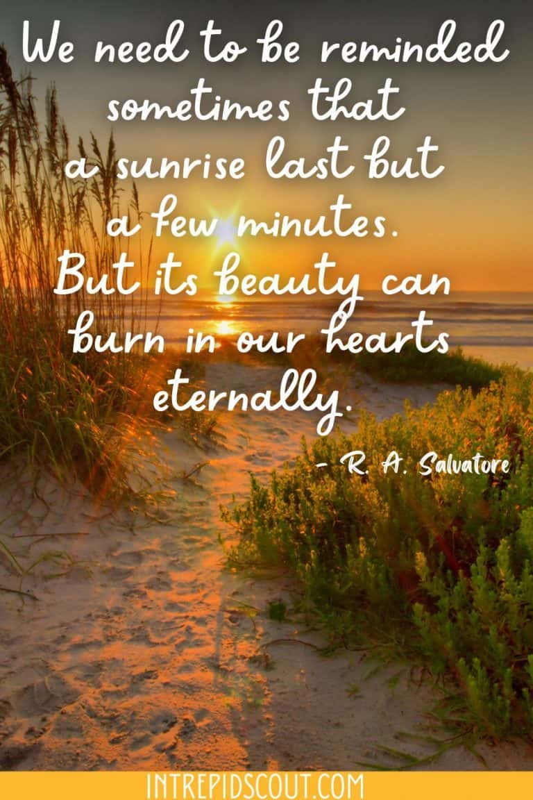 181 Golden Hour Captions and Quotes Celebrating the Magical Time ...