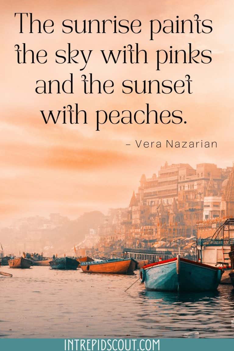 181 Golden Hour Captions and Quotes Celebrating the Magical Time ...