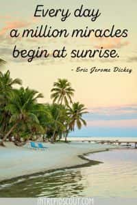 181 Golden Hour Captions and Quotes Celebrating the Magical Time ...