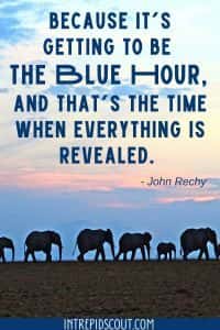 181 Golden Hour Captions and Quotes Celebrating the Magical Time ...