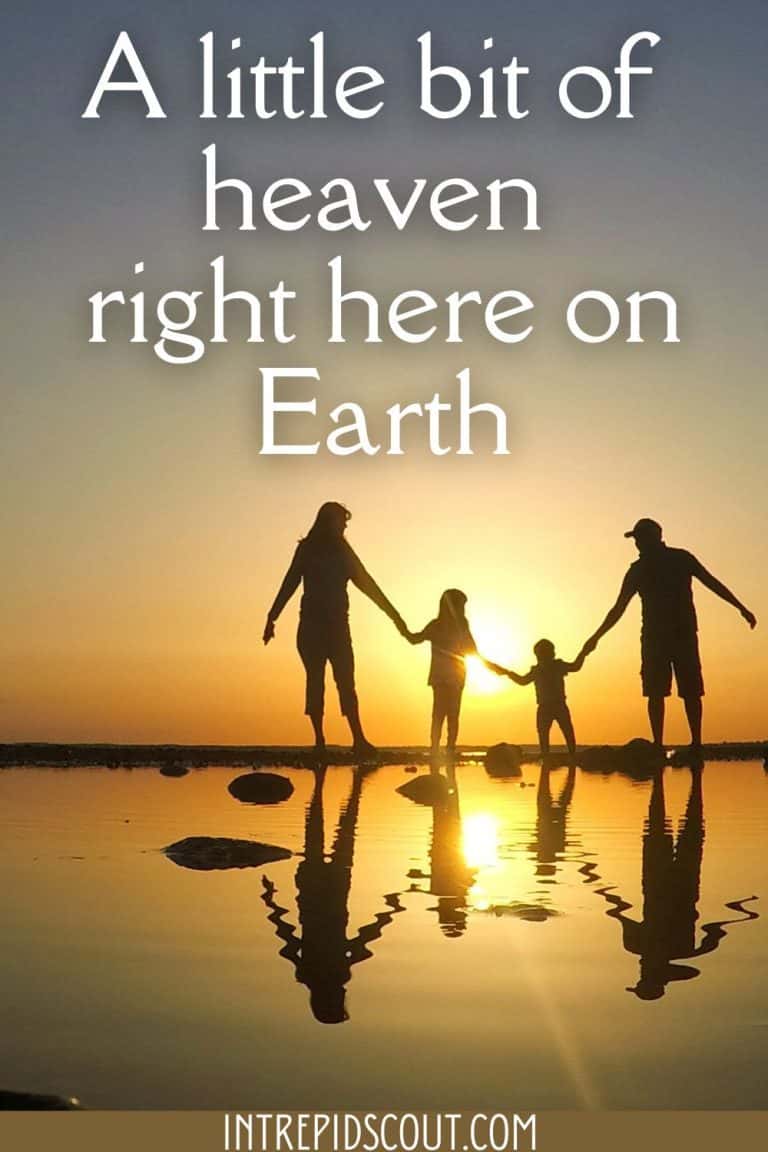 181 Golden Hour Captions and Quotes Celebrating the Magical Time ...