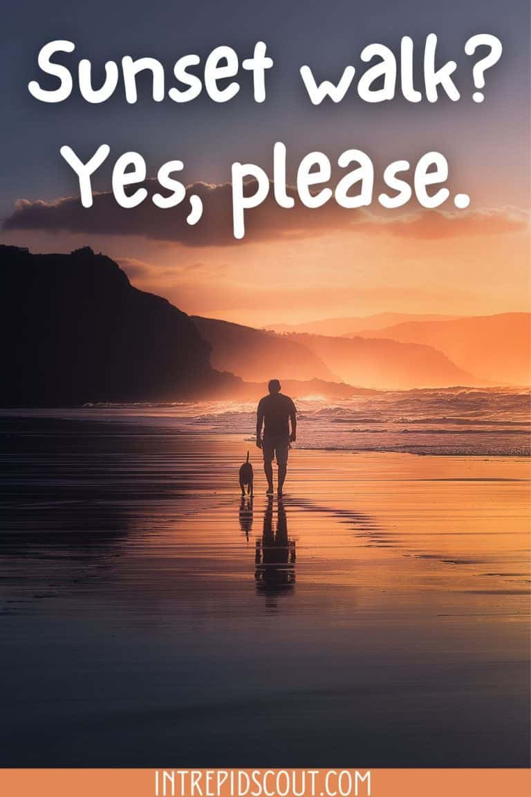 181 Golden Hour Captions and Quotes Celebrating the Magical Time ...