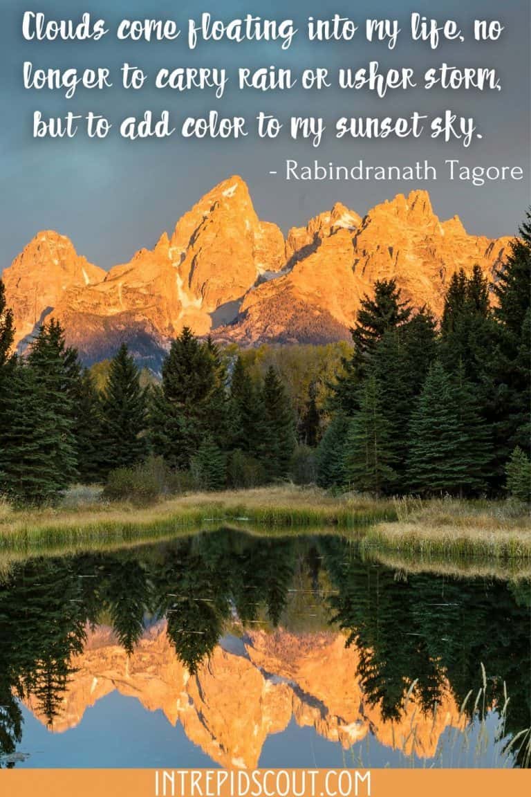 265 Magical Golden Hour Captions and Quotes (Discover the Ethereal ...