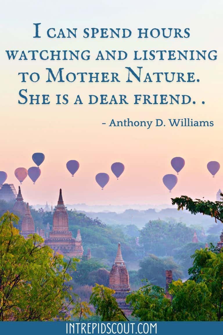 181 Golden Hour Captions and Quotes Celebrating the Magical Time ...