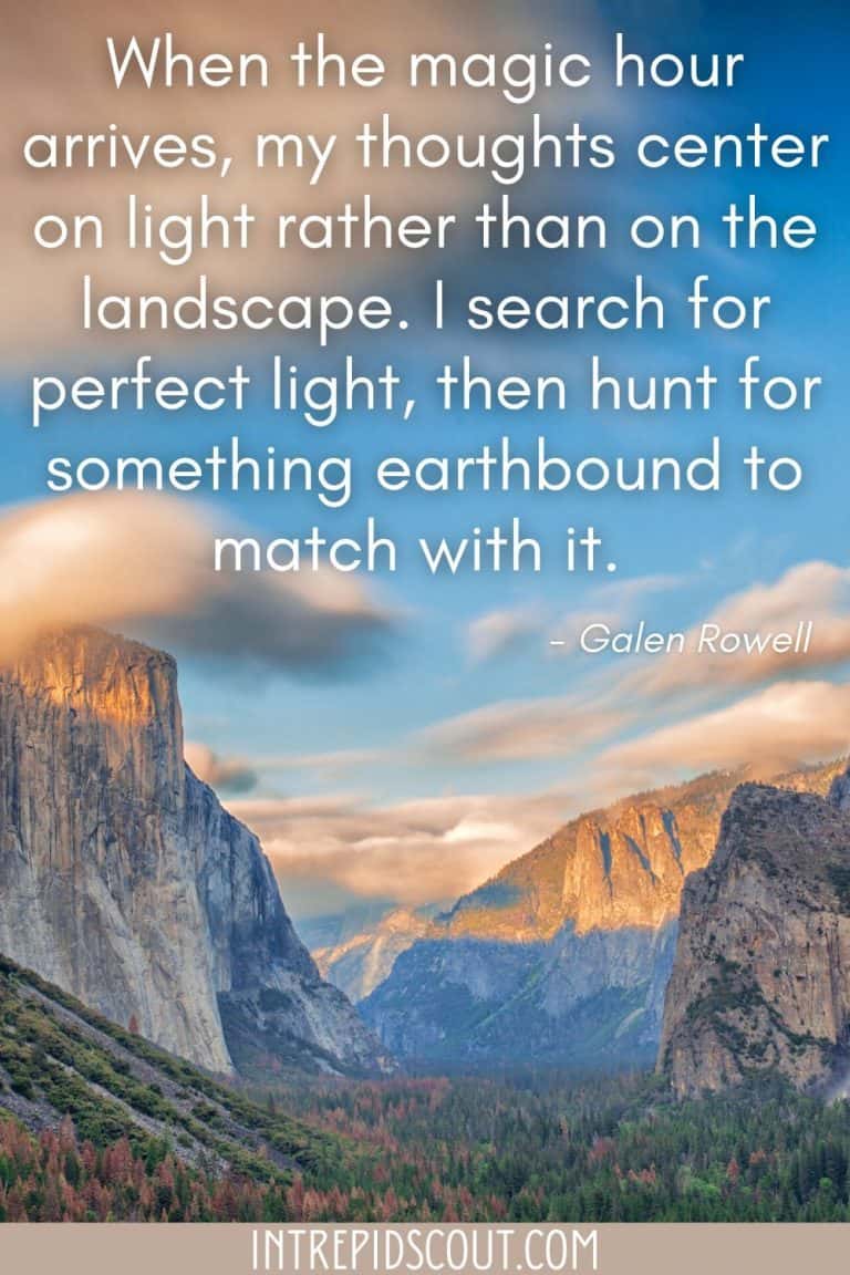 181 Golden Hour Captions and Quotes Celebrating the Magical Time ...