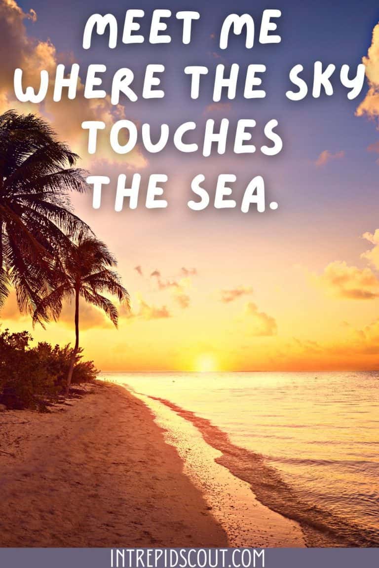 181 Golden Hour Captions and Quotes Celebrating the Magical Time ...