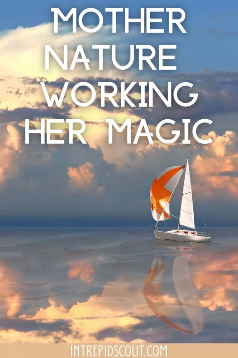 181 Golden Hour Captions and Quotes Celebrating the Magical Time ...