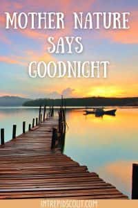 181 Golden Hour Captions and Quotes Celebrating the Magical Time ...