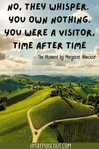 18 Poems About Travel to Inspire Your Traveler's Soul to See the World ...