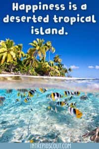 299 Gorgeous Tropical Vacation Captions and Quotes (Escape to Paradise ...