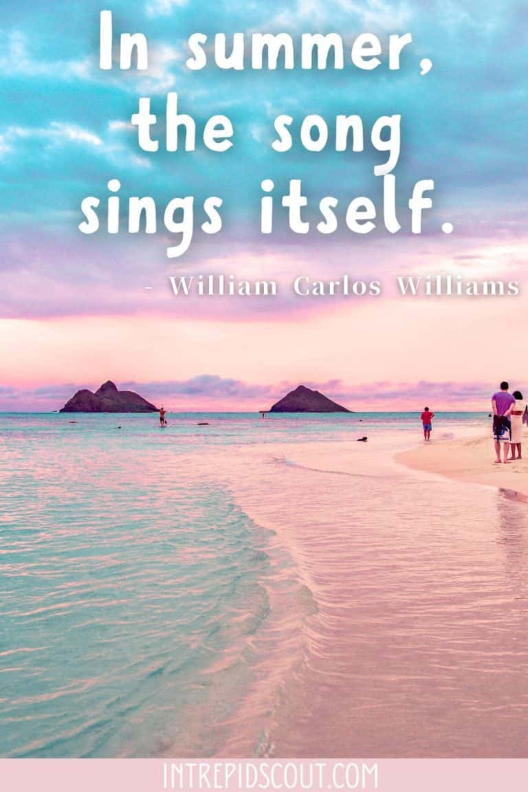 299 Gorgeous Tropical Vacation Captions and Quotes (Escape to Paradise ...