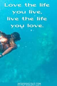 299 Gorgeous Tropical Vacation Captions and Quotes (Escape to Paradise ...