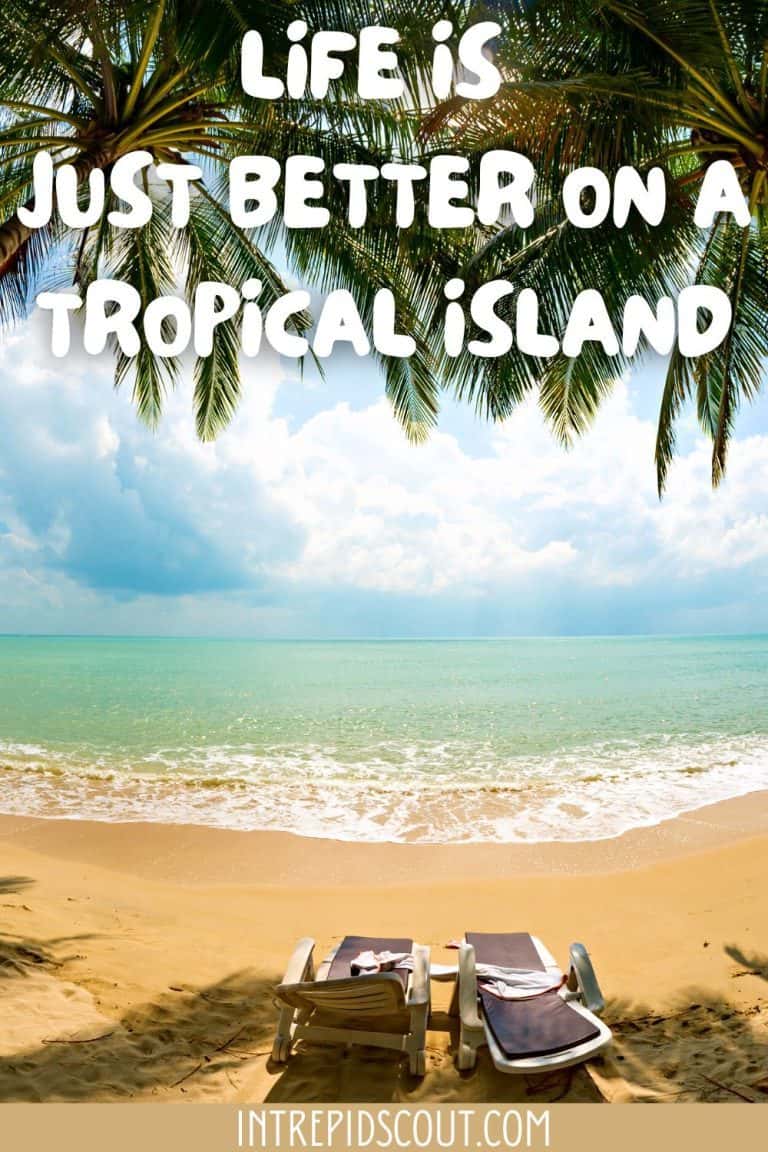 299 Gorgeous Tropical Vacation Captions and Quotes (Escape to Paradise ...