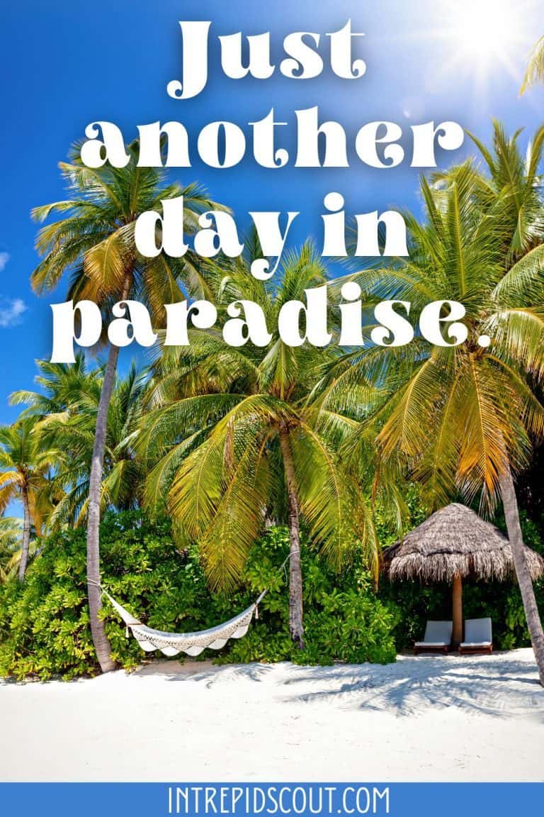 299 Gorgeous Tropical Vacation Captions and Quotes (Escape to Paradise ...