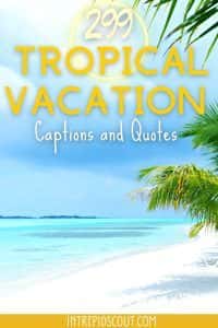299 Gorgeous Tropical Vacation Captions and Quotes (Escape to Paradise ...