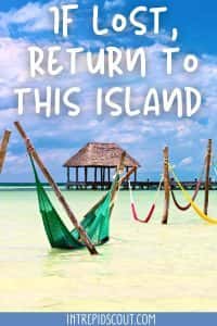 299 Gorgeous Tropical Vacation Captions and Quotes (Escape to Paradise ...