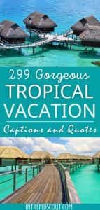 299 Gorgeous Tropical Vacation Captions and Quotes (Escape to Paradise ...