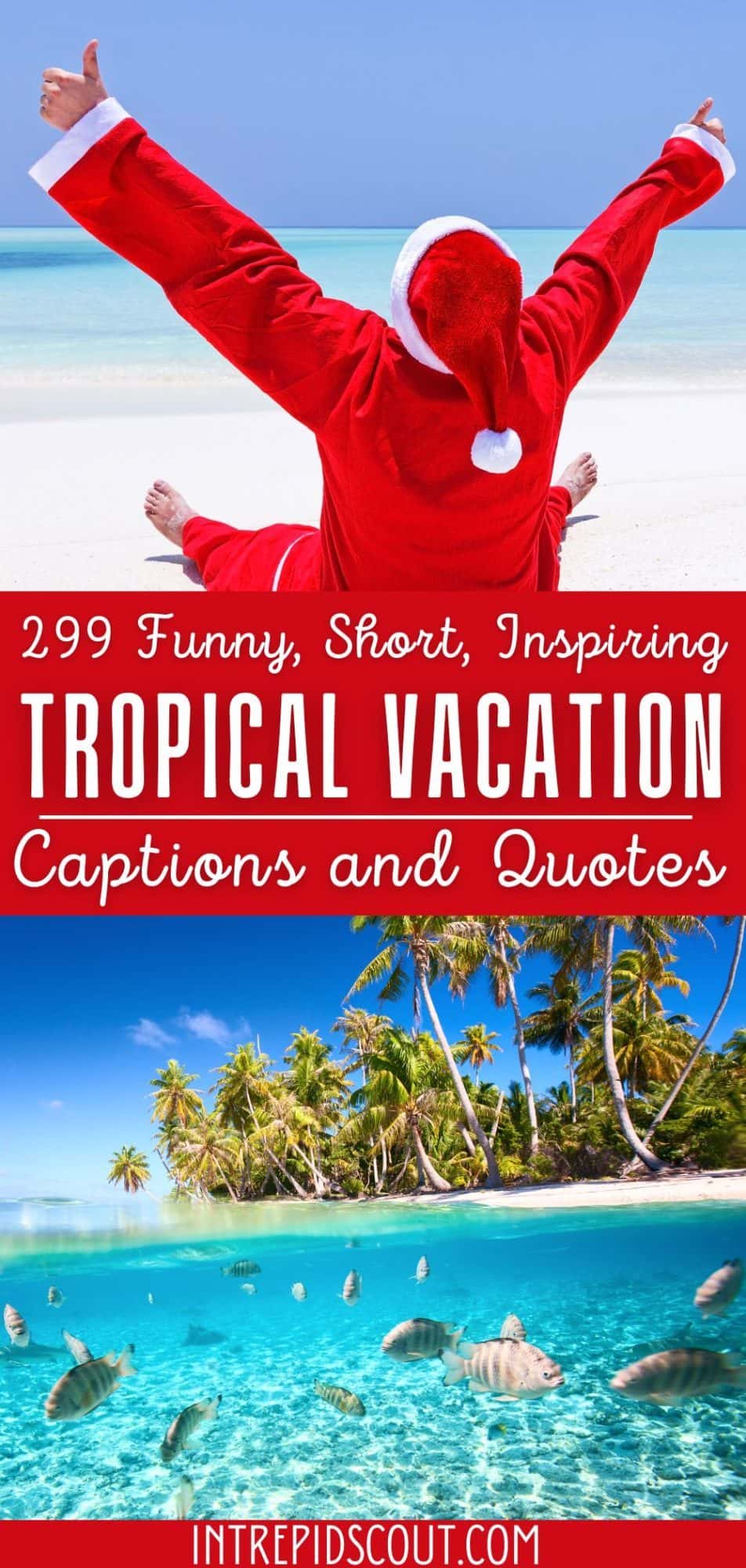 299 Gorgeous Tropical Vacation Captions and Quotes (Escape to Paradise ...