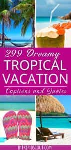 299 Gorgeous Tropical Vacation Captions and Quotes (Escape to Paradise ...