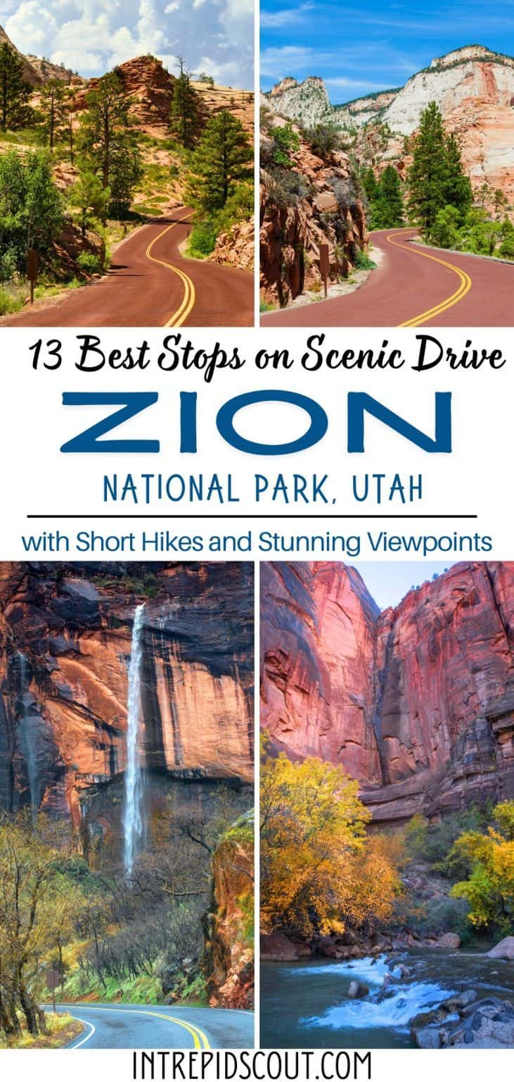 13 Best Stops on Scenic Drive in Zion National Park (Useful Maps ...