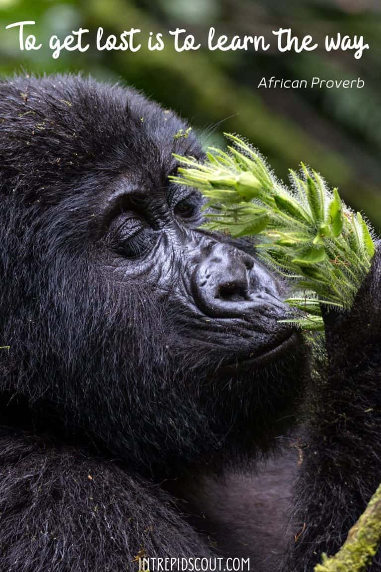 223 Sharp-Witted PROVERBS About TRAVEL (Collected From Around the World ...