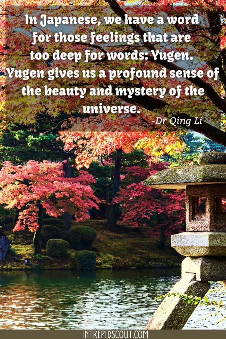275 Best QUOTES About JAPAN (JAPANESE Culture, Nature, Food, Anime ...